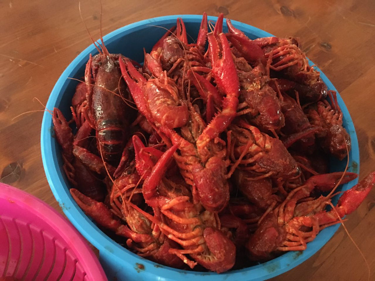 Crawfish Unseasoned 16/22 NW Spain Old Way (6*2LBS) – Jack & King's